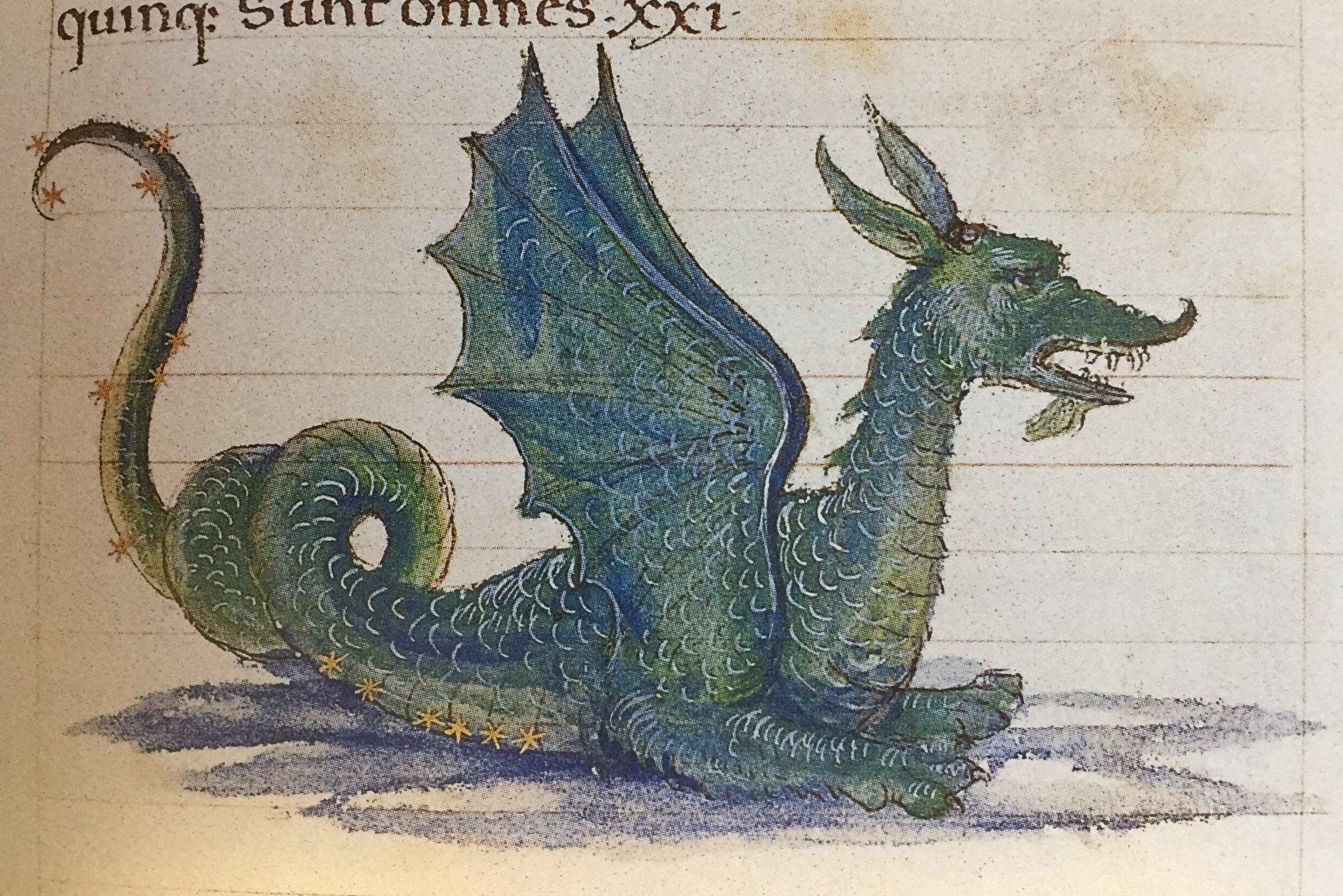 Manuscrito Del Dragón Medieval Dragones, Los Monstruos De La Edad
